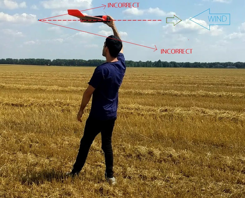 DRONEE PLANE take-off | How to launch the plane correctly – Dronee